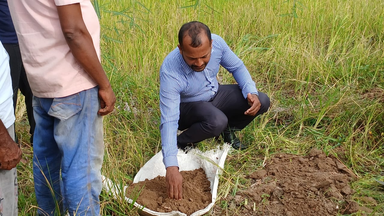 SARP | Projects - SARP