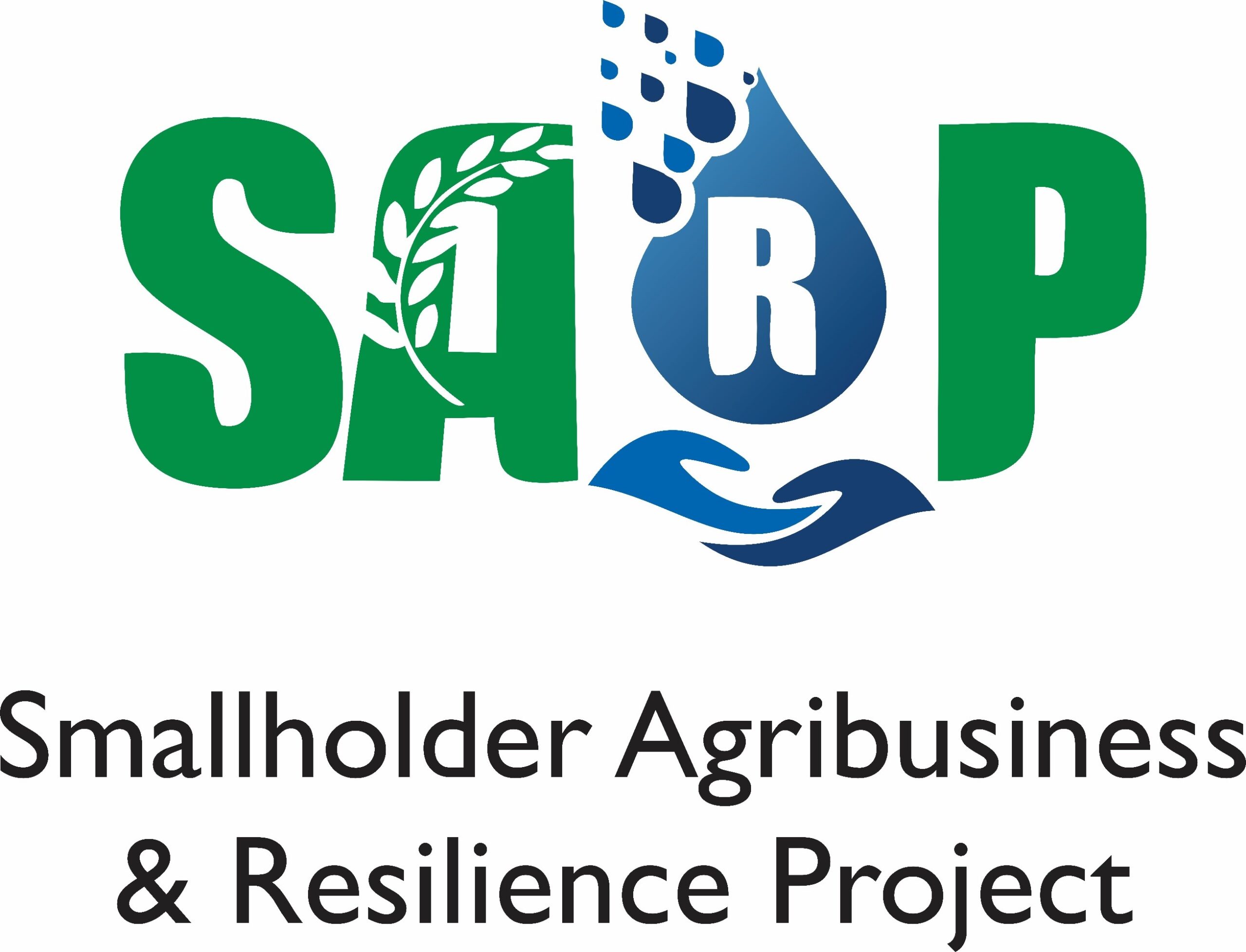 Sarp Logo Sharp Logos | Make A Sharp Logo | BrandCrowd