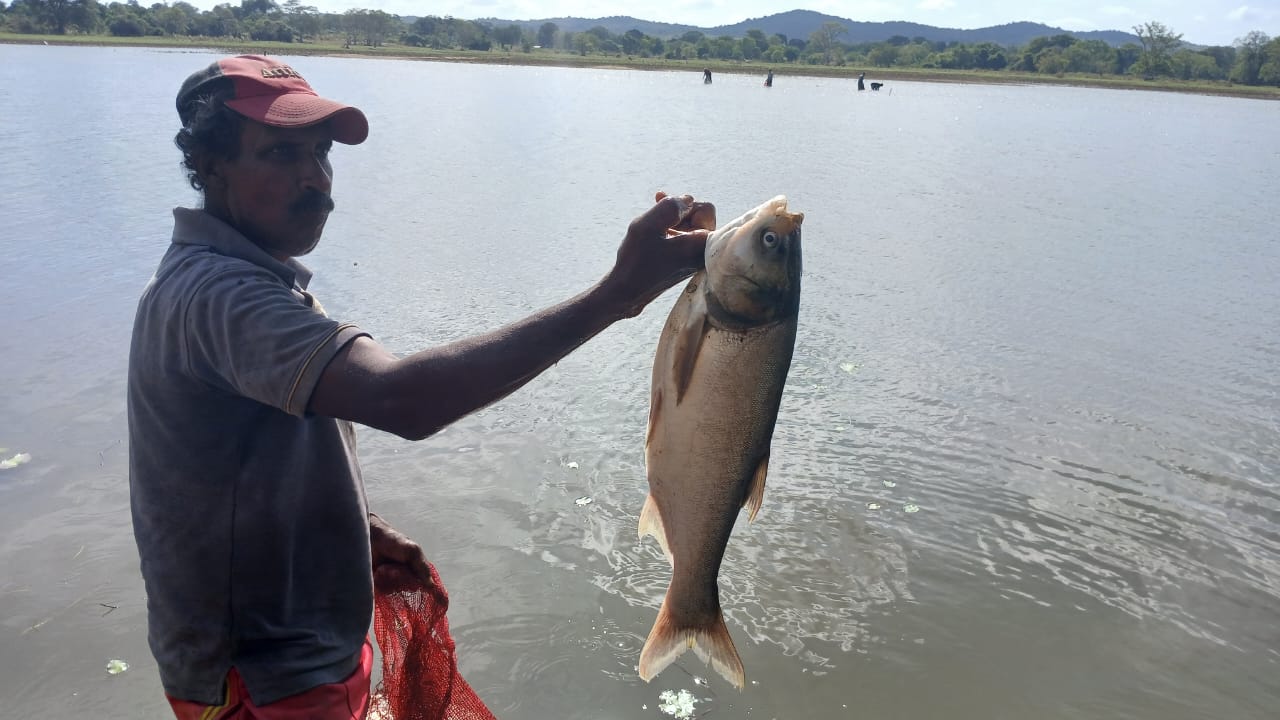(SARP) | Strengthening Food Security Through Inland Fisheries - (SARP)